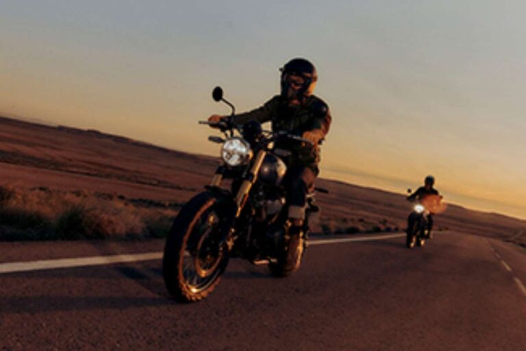 2025 Royal Enfield INT BEAR 650 vs. the Competition | BMW Motorcycles ...